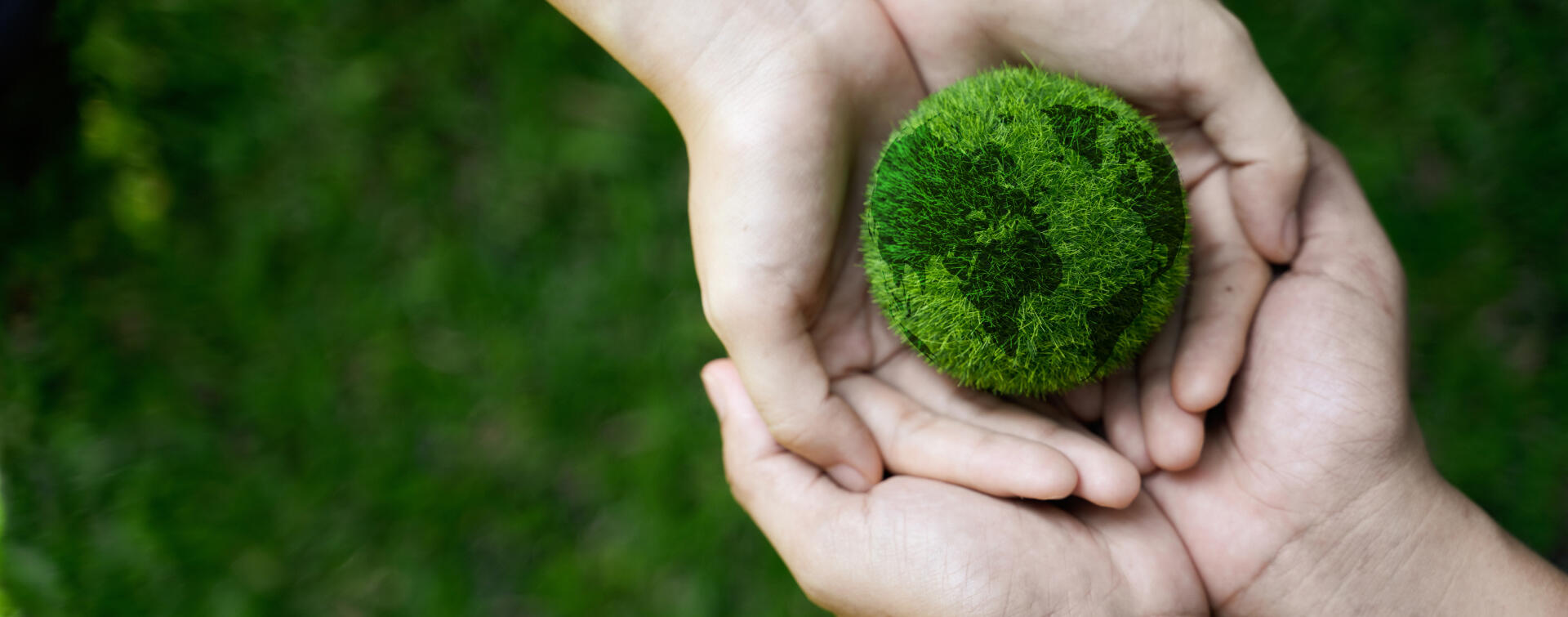 Honors & Awards | Bank Of China