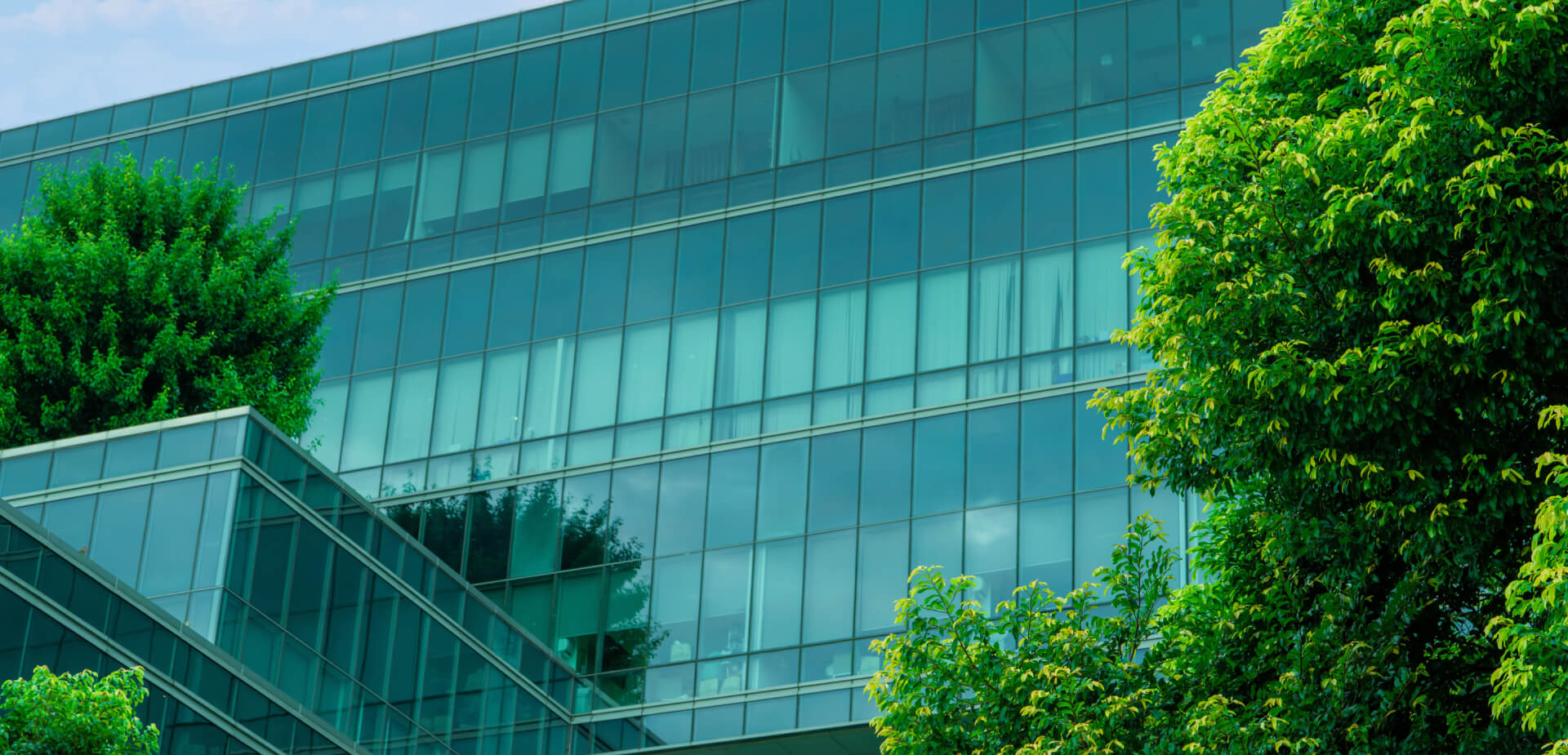 OUR ESG PROGRAM | Bank Of China